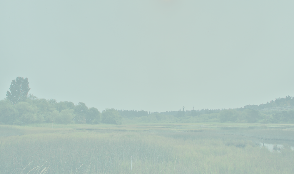 FACTS AND FEATURES — EDMONDS MARSH ESTUARY Advocates