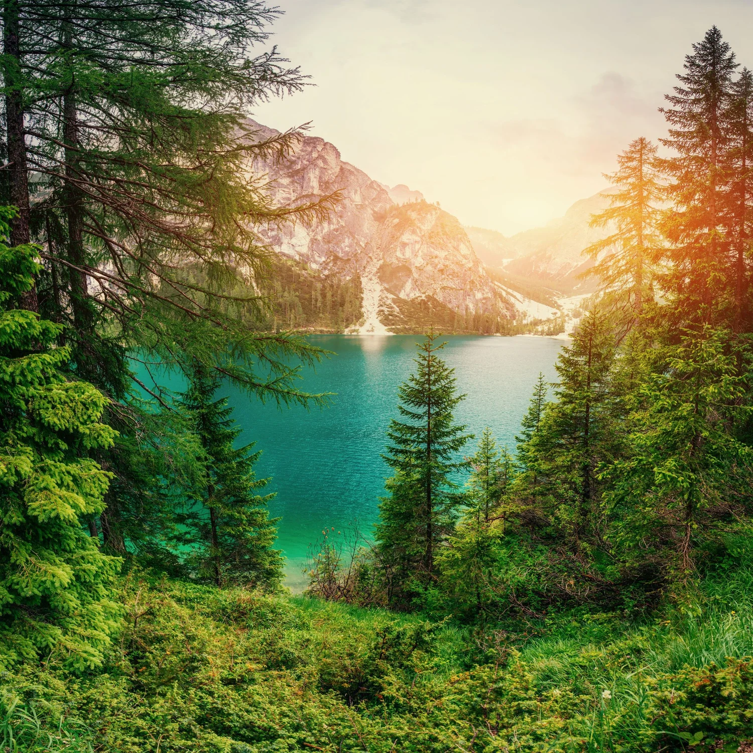 Employee Benefits | Group Benefits | Focus With Mountain View Benefits
