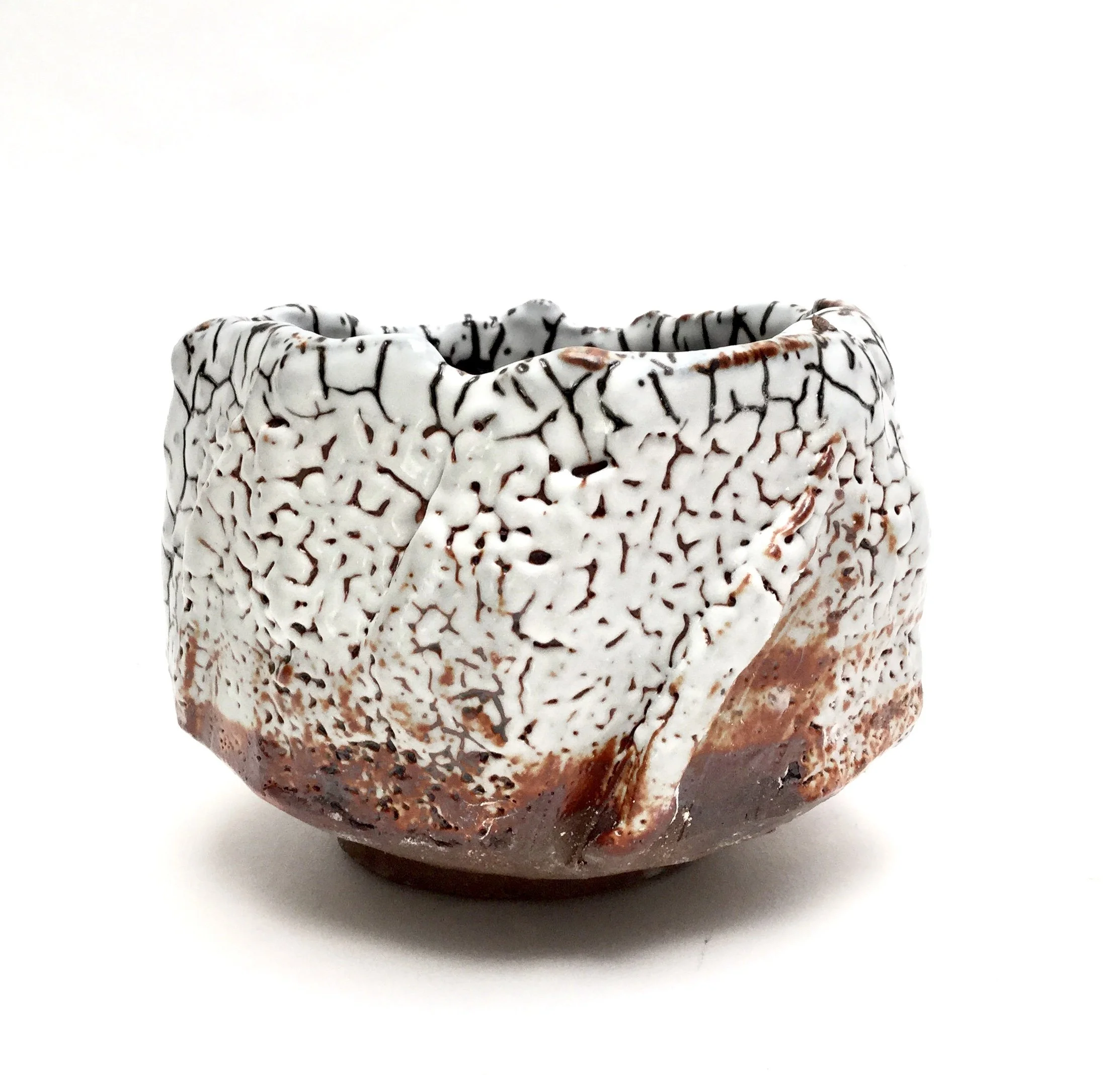 Les Shinos — D'une terre à l'autre