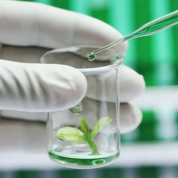 The Comprehensive Guide to Plant Tissue Culture
