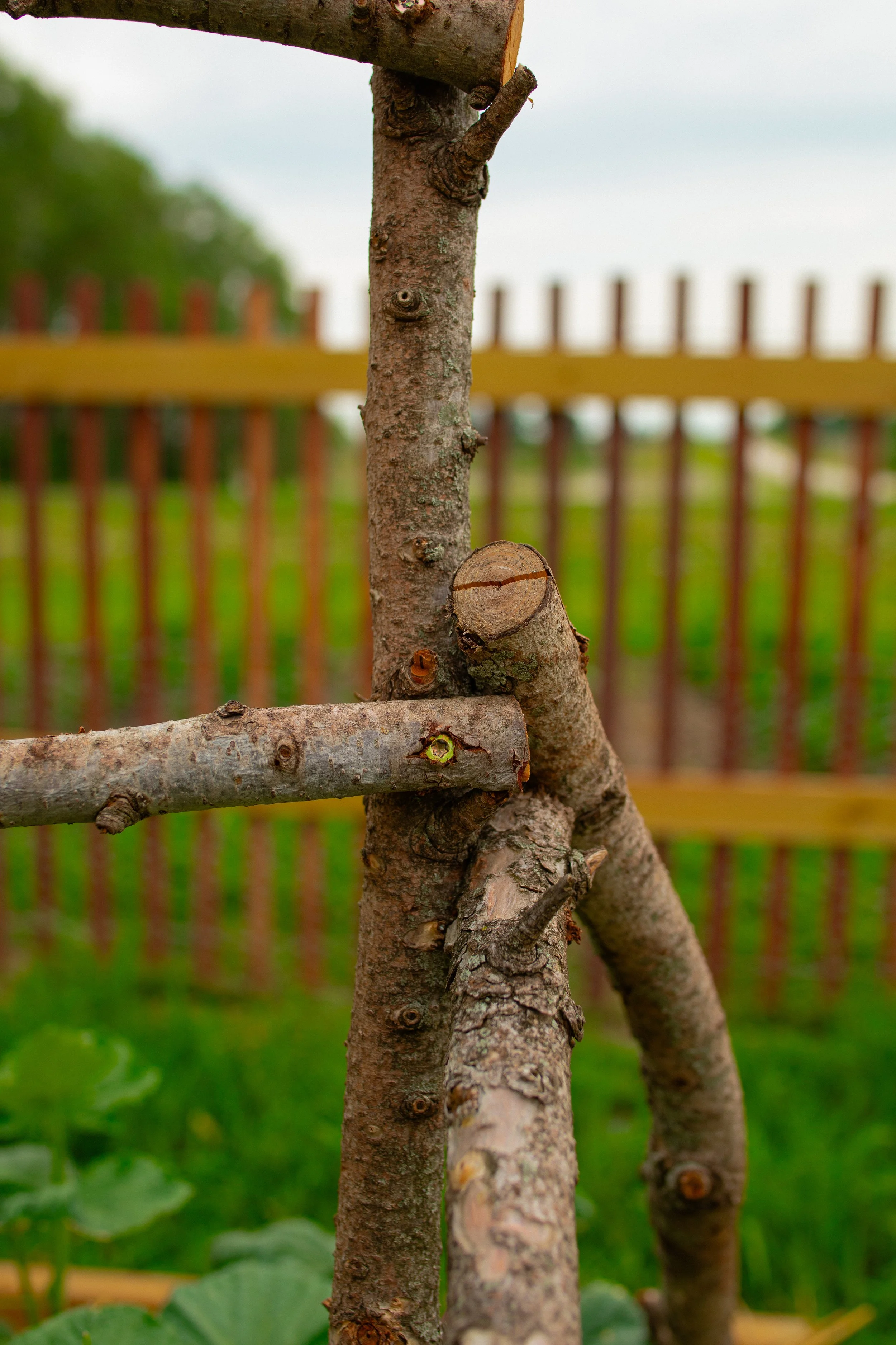 Rustic Trellis Ideas: How to Add Whimsy to Your Garden — Under A Tin Roof