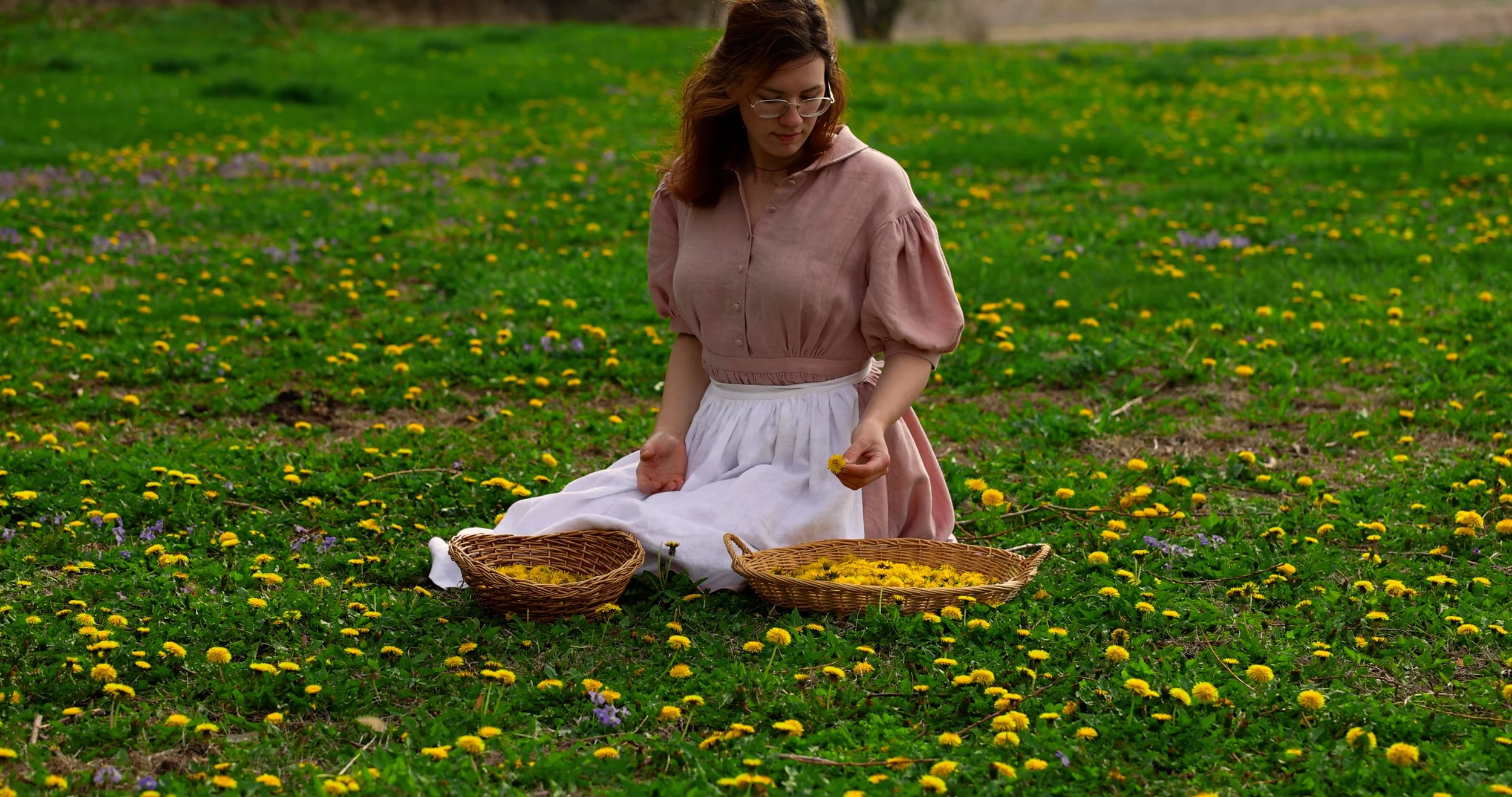 The Ultimate Guide to Foraging Dandelions: How to Harvest Flowers ...