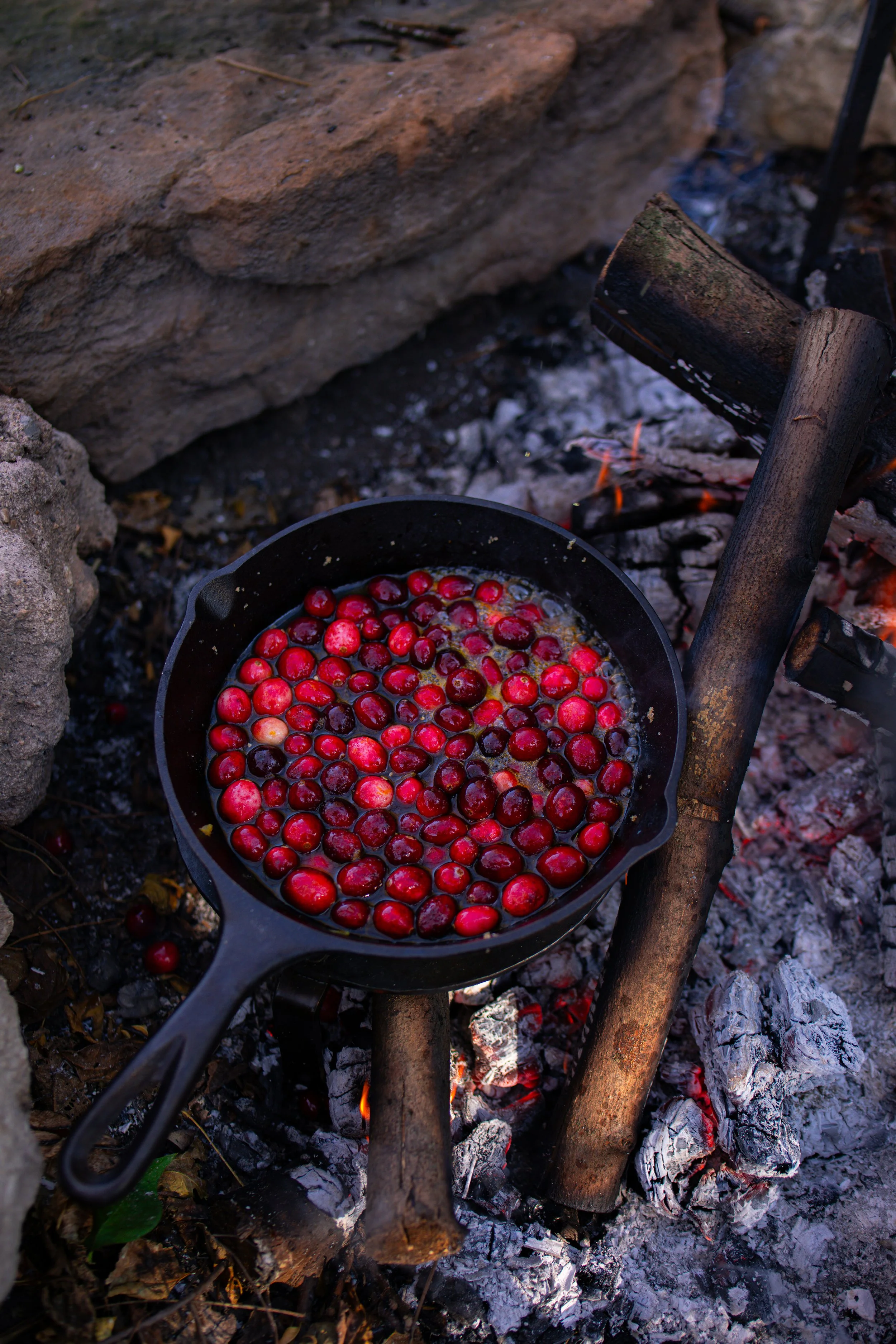 Campfire Cooking: Rotisserie Chicken and Mashed Potatoes | Outdoor ...