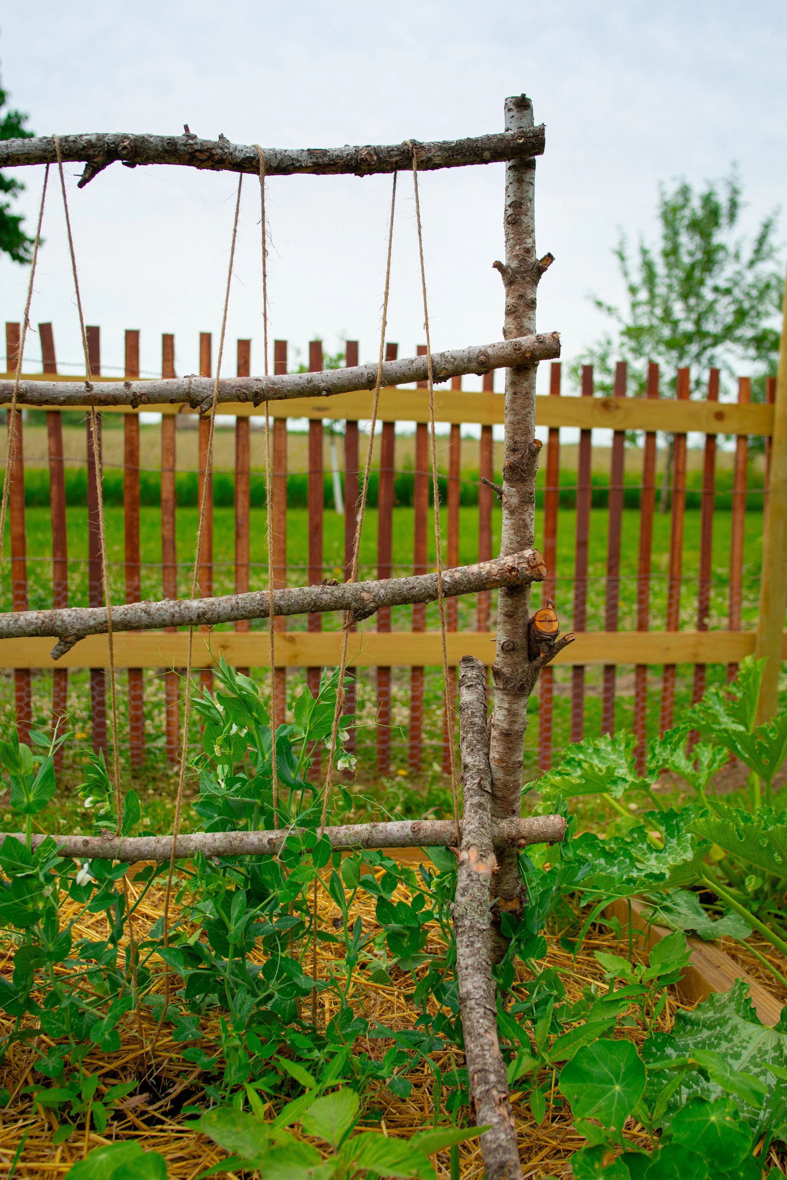 Rustic Trellis Ideas: How to Add Whimsy to Your Garden — Under A Tin Roof