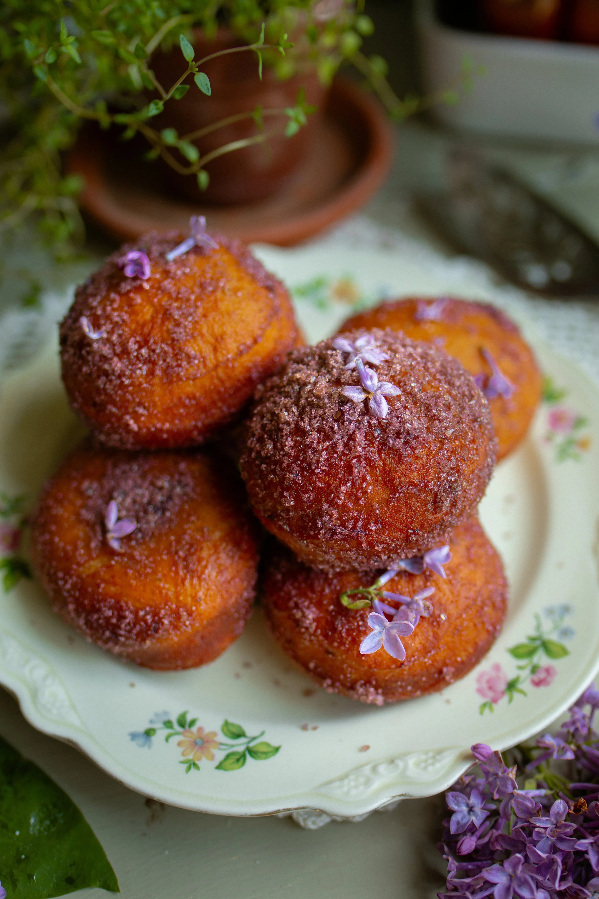 Dreamweaver's Lilac Donuts: Edible Flower Dessert Recipe — Under A Tin Roof