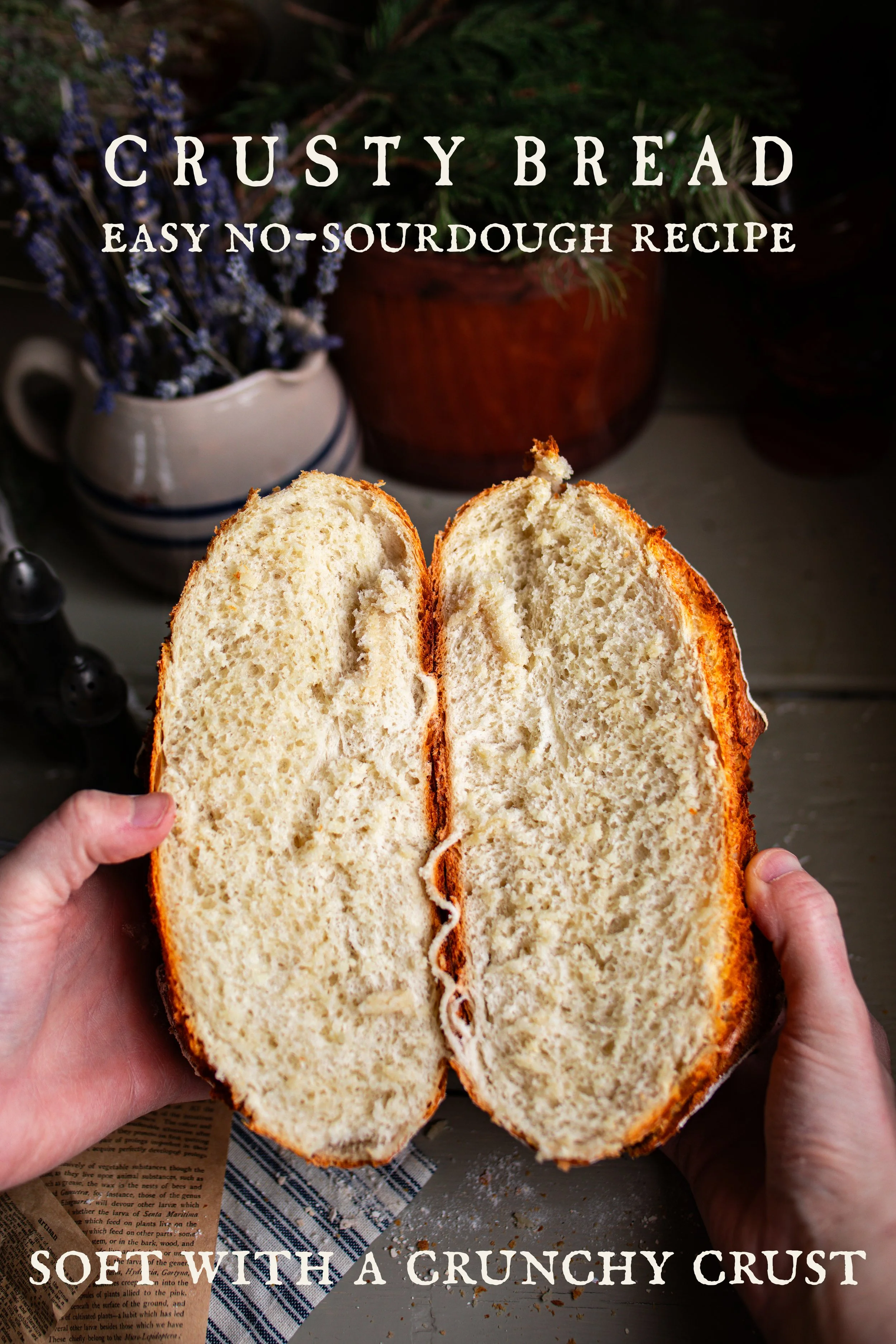 Crusty Dutch Oven Spelt Bread: Easy No Knead Artisanal Bread — Under A ...