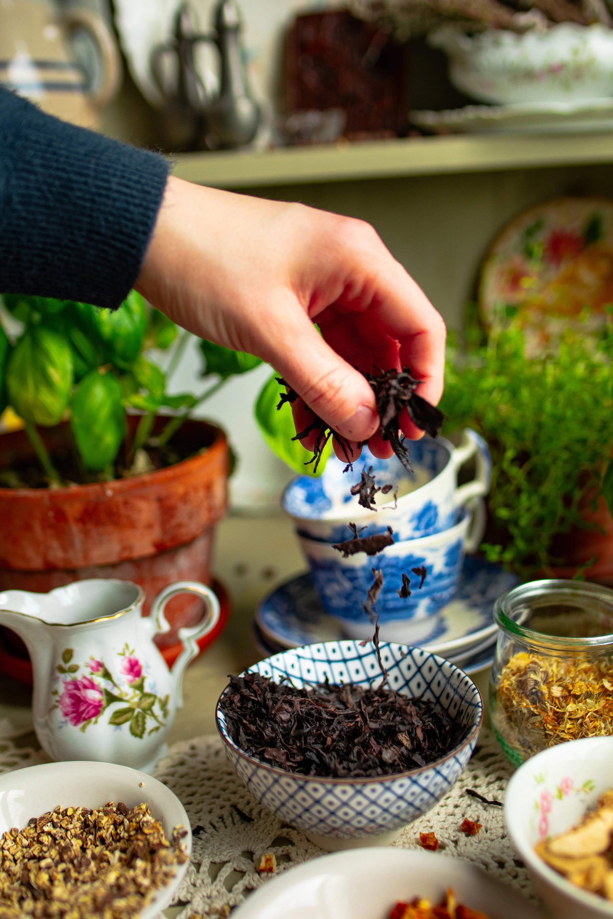 Video: Flower Fairy Tea & Craft Ideas — Under A Tin Roof
