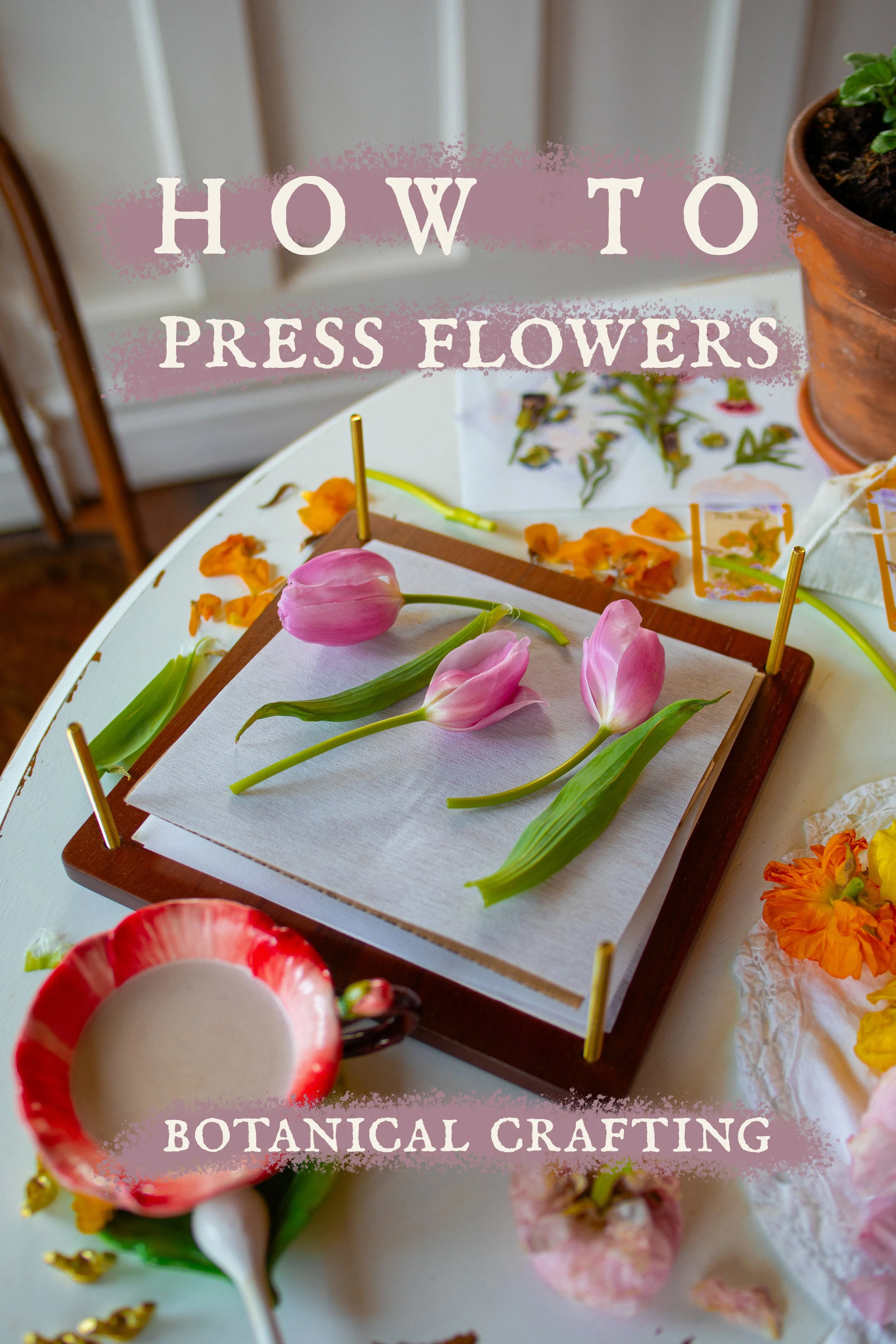 How to Press Flowers with a Flower Press: A Simple Historical Craft ...