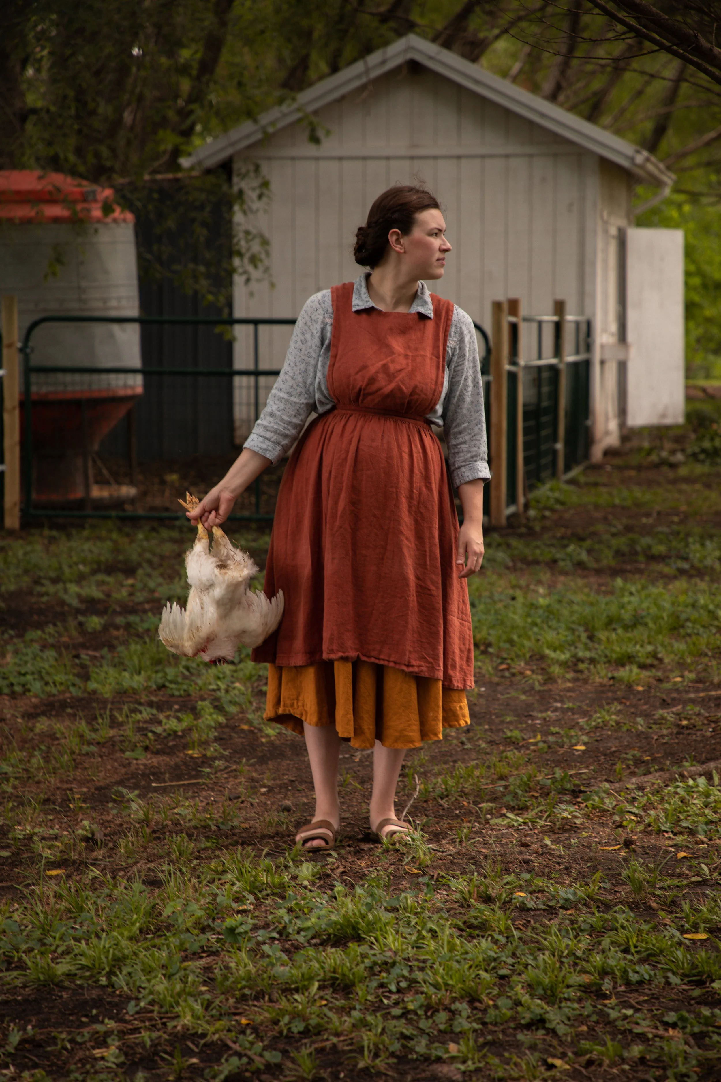 How to Butcher and Process Chickens — Under A Tin Roof