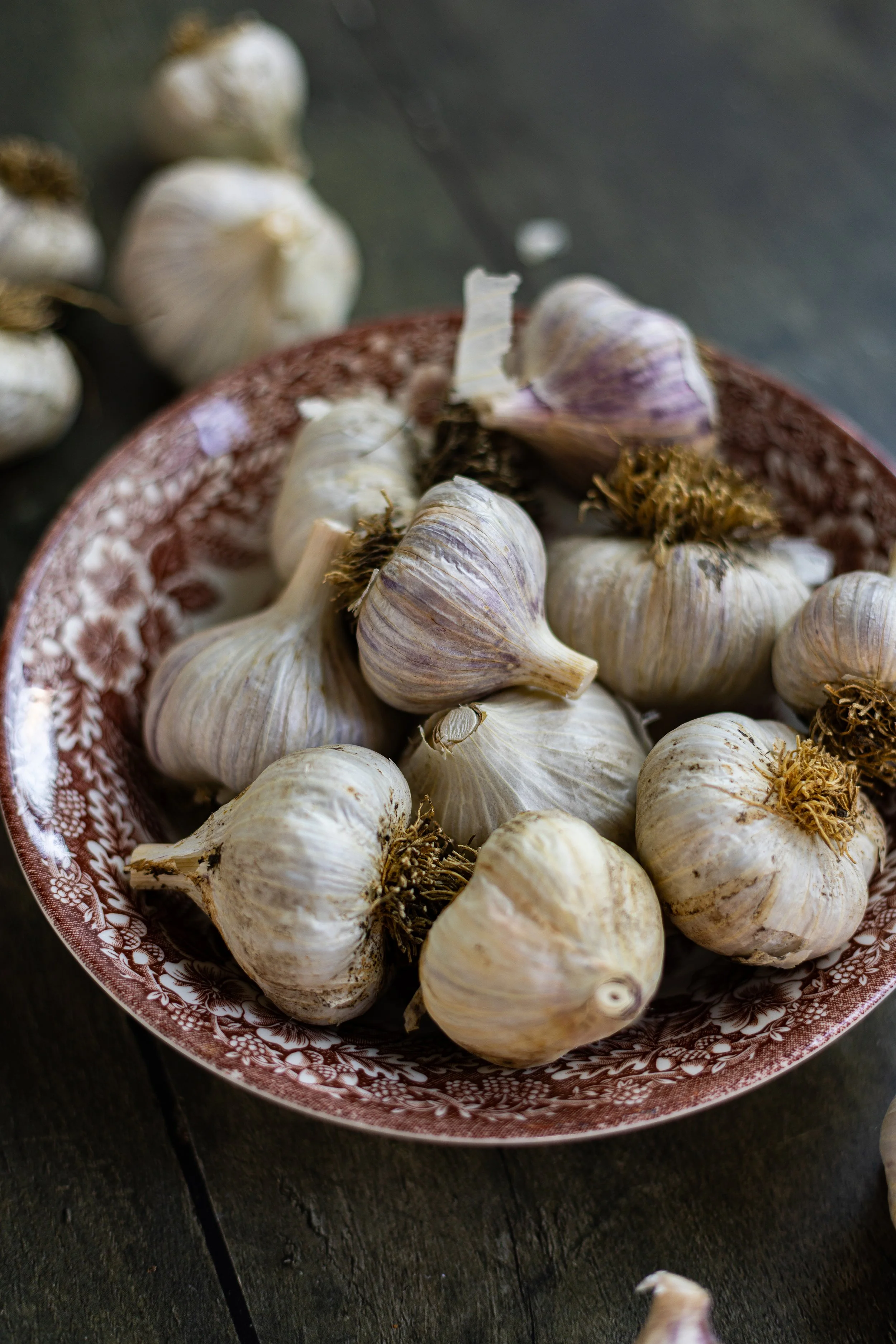 How to Grow Garlic: Complete Planting, Growing, and Harvesting Guide ...