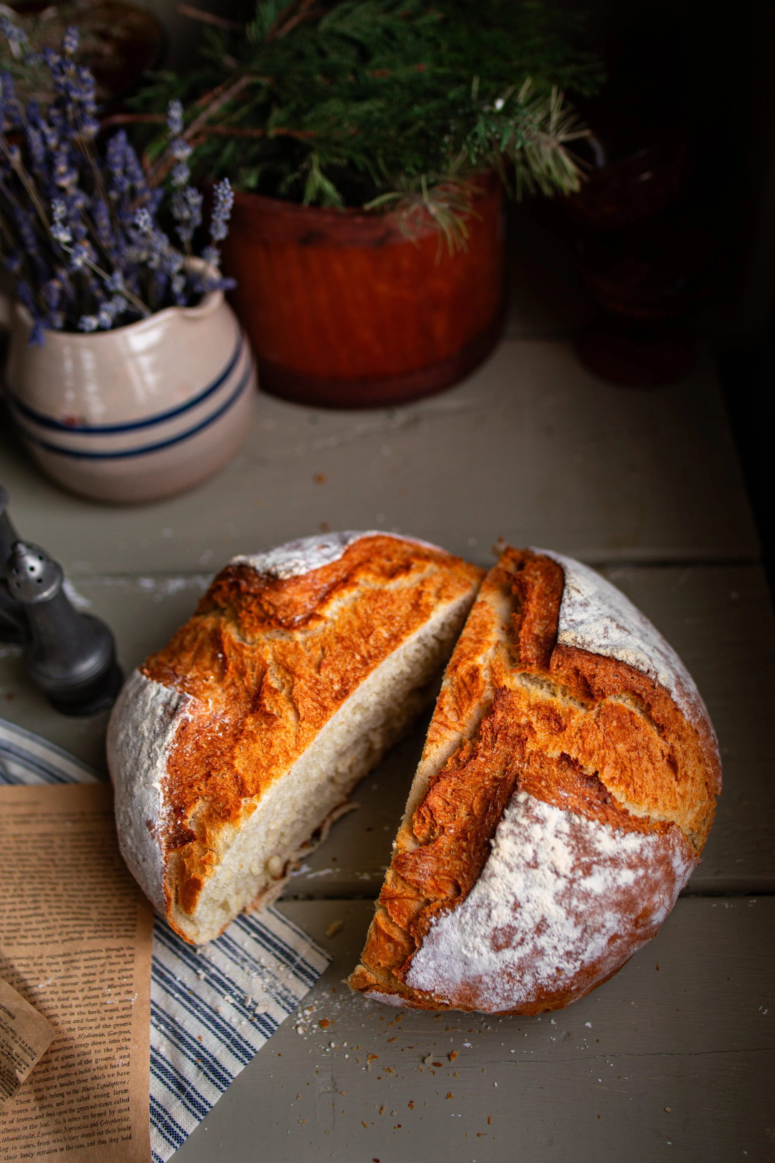 Crusty Dutch Oven Spelt Bread: Easy No Knead Artisanal Bread — Under A ...