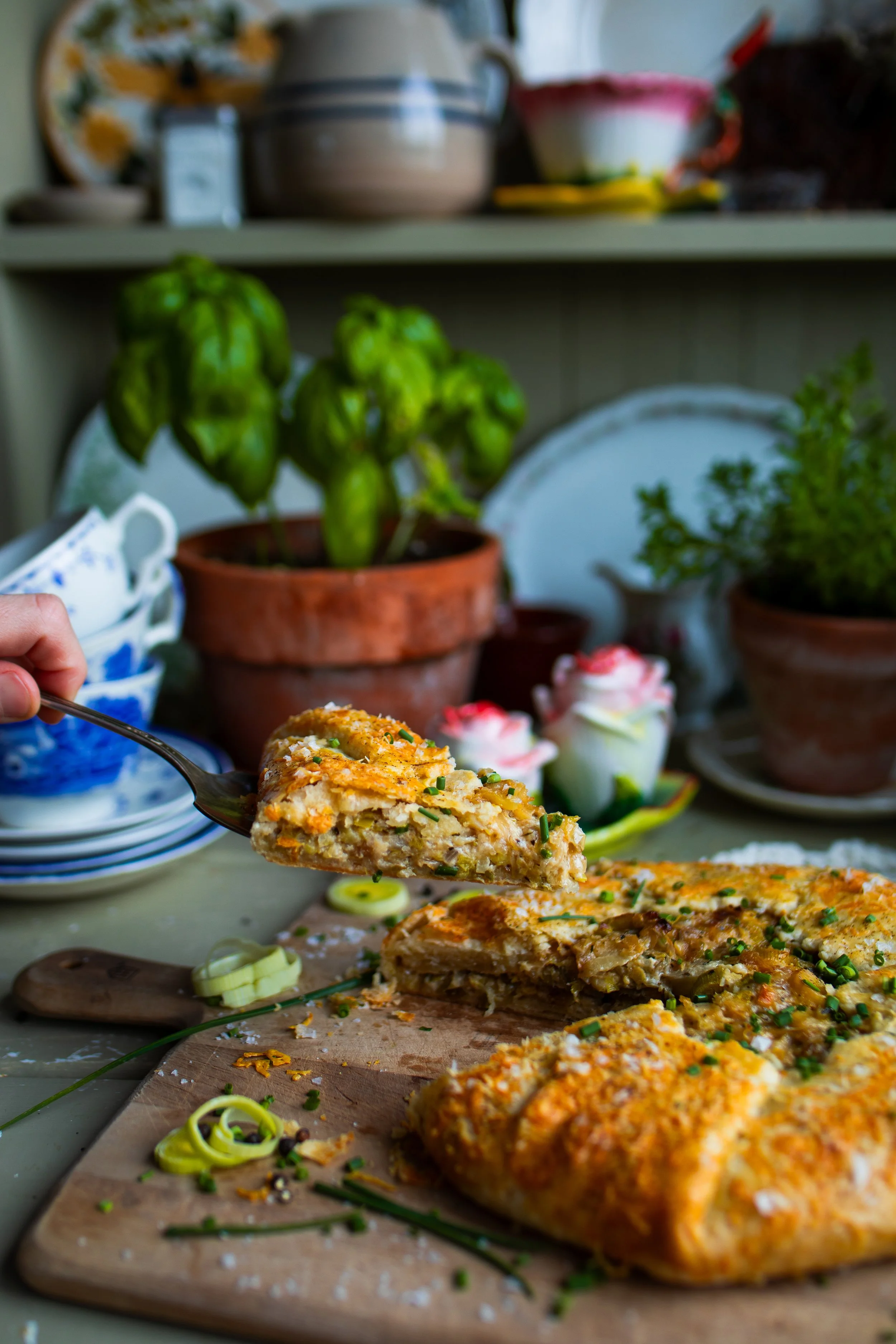 Forager's Fabled Allium Galette: Savory Onion Tart Recipe — Under A Tin ...