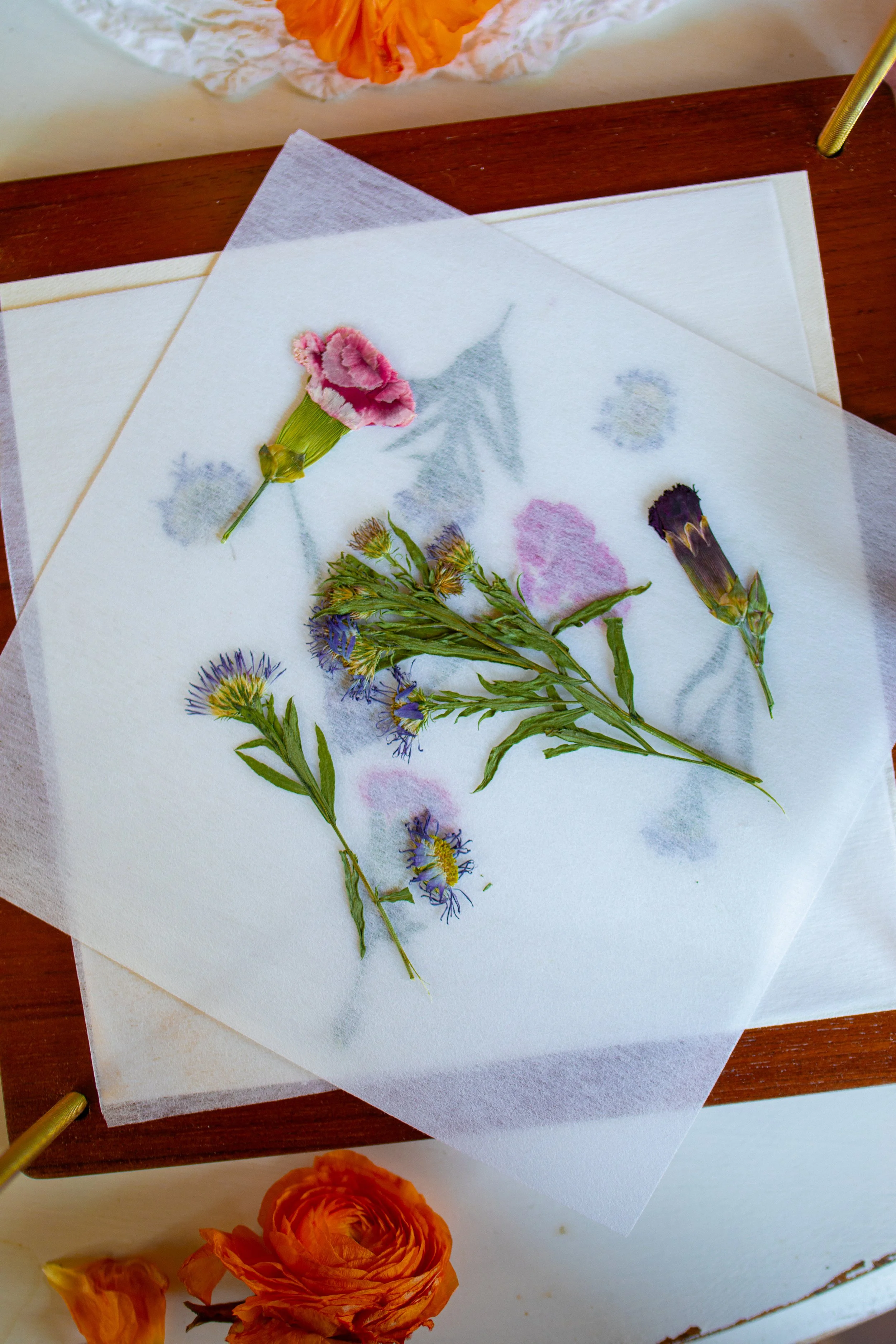 How to Press Flowers with a Flower Press: A Simple Historical Craft ...