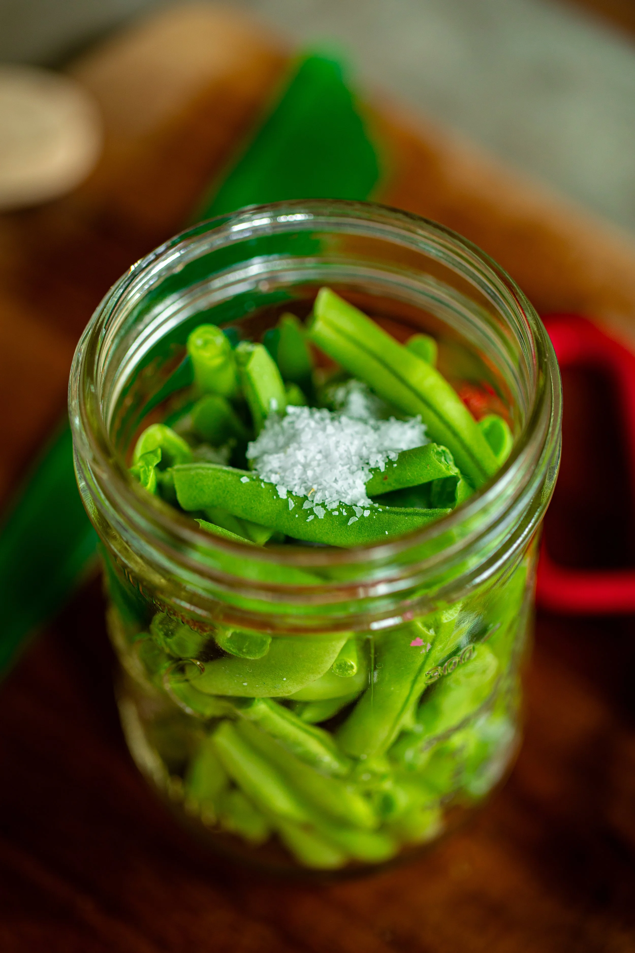 How to Pressure Can Green Beans: Canning Guide — Under A Tin Roof