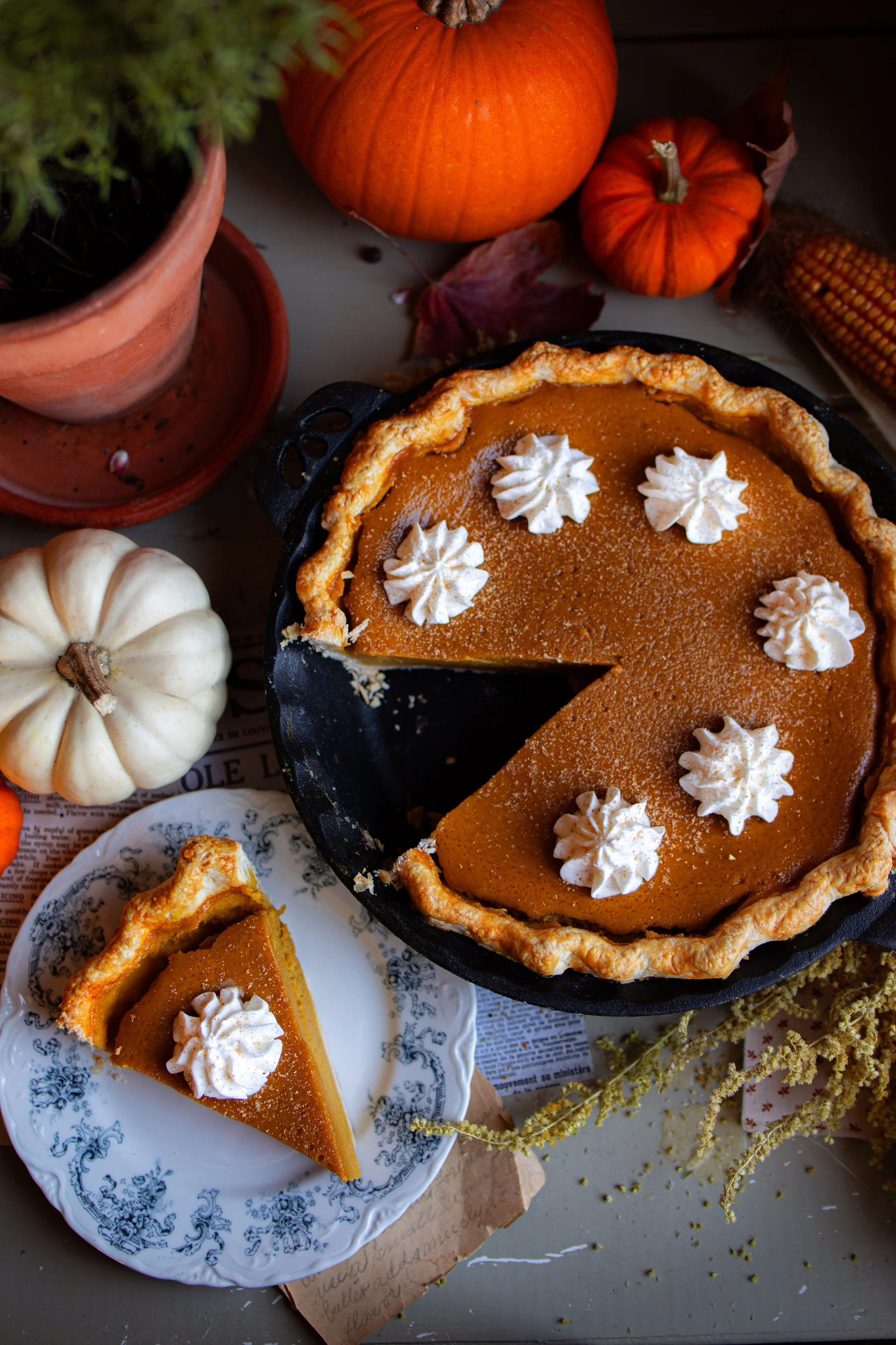 Classic Pumpkin Pie with a Historical Twist | Timeless Autumn Dessert ...