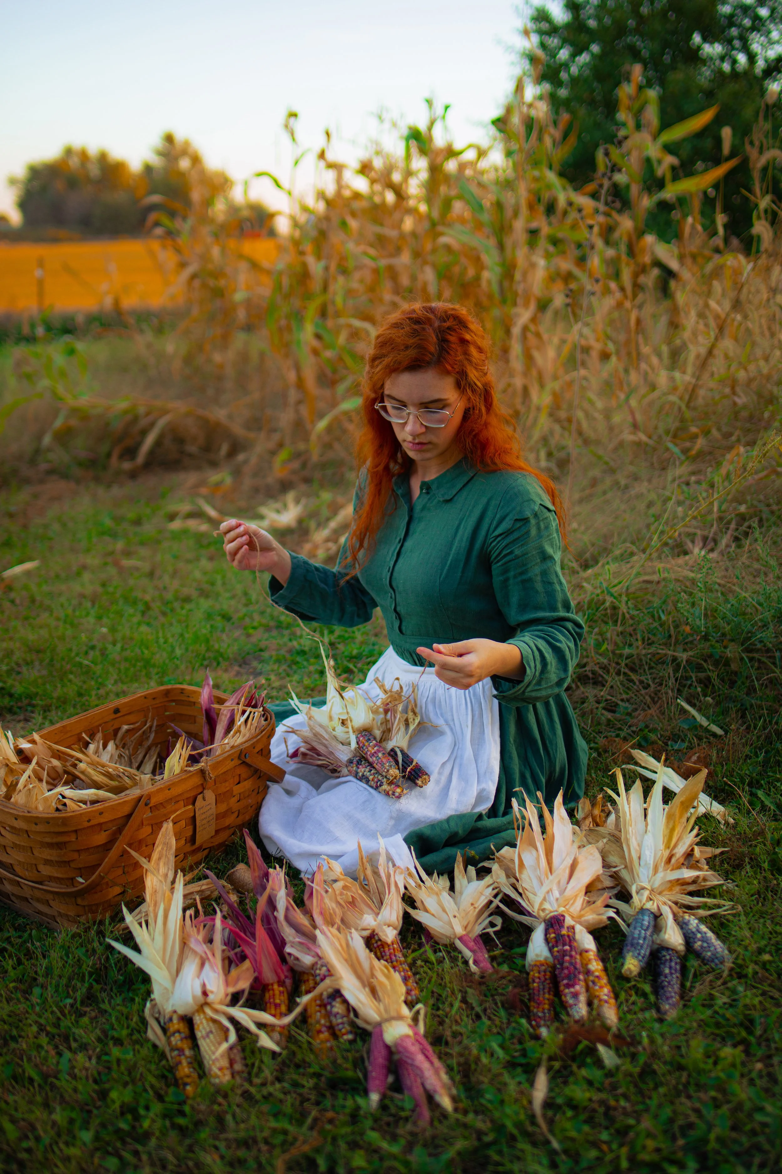 How to Grow, Harvest, and Dry Ornamental Corn for Your Kitchen: Learn ...