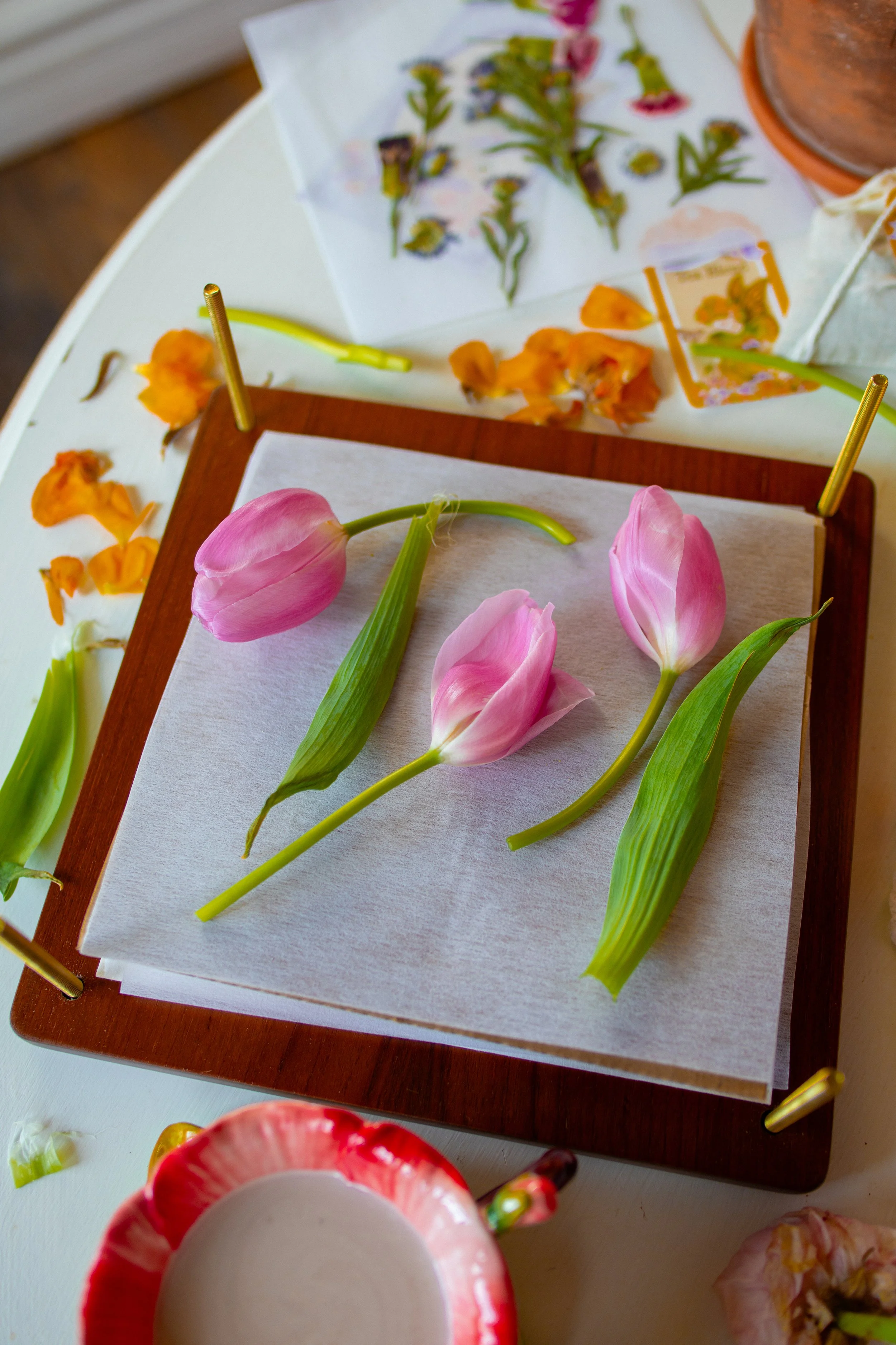 How to Press Flowers with a Flower Press: A Simple Historical Craft ...