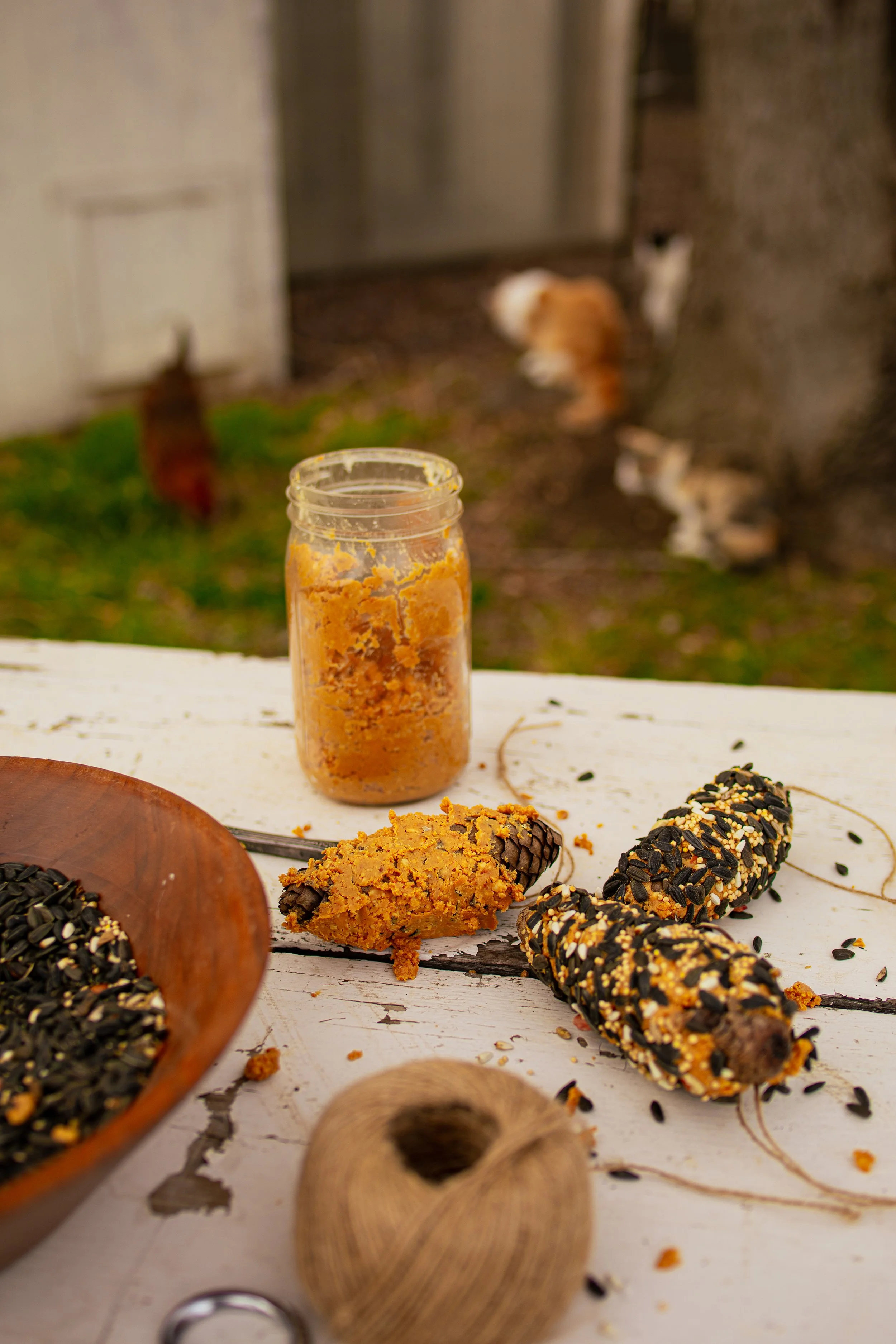 3 Bird-Friendly Garden Ideas: Bird Nesting Material Station, Natural ...