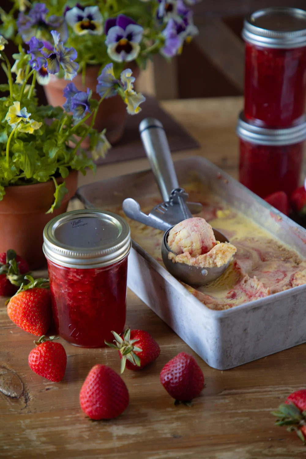 Ball® Classic Strawberry Jam Cheesecake Custard with Graham Cracker ...