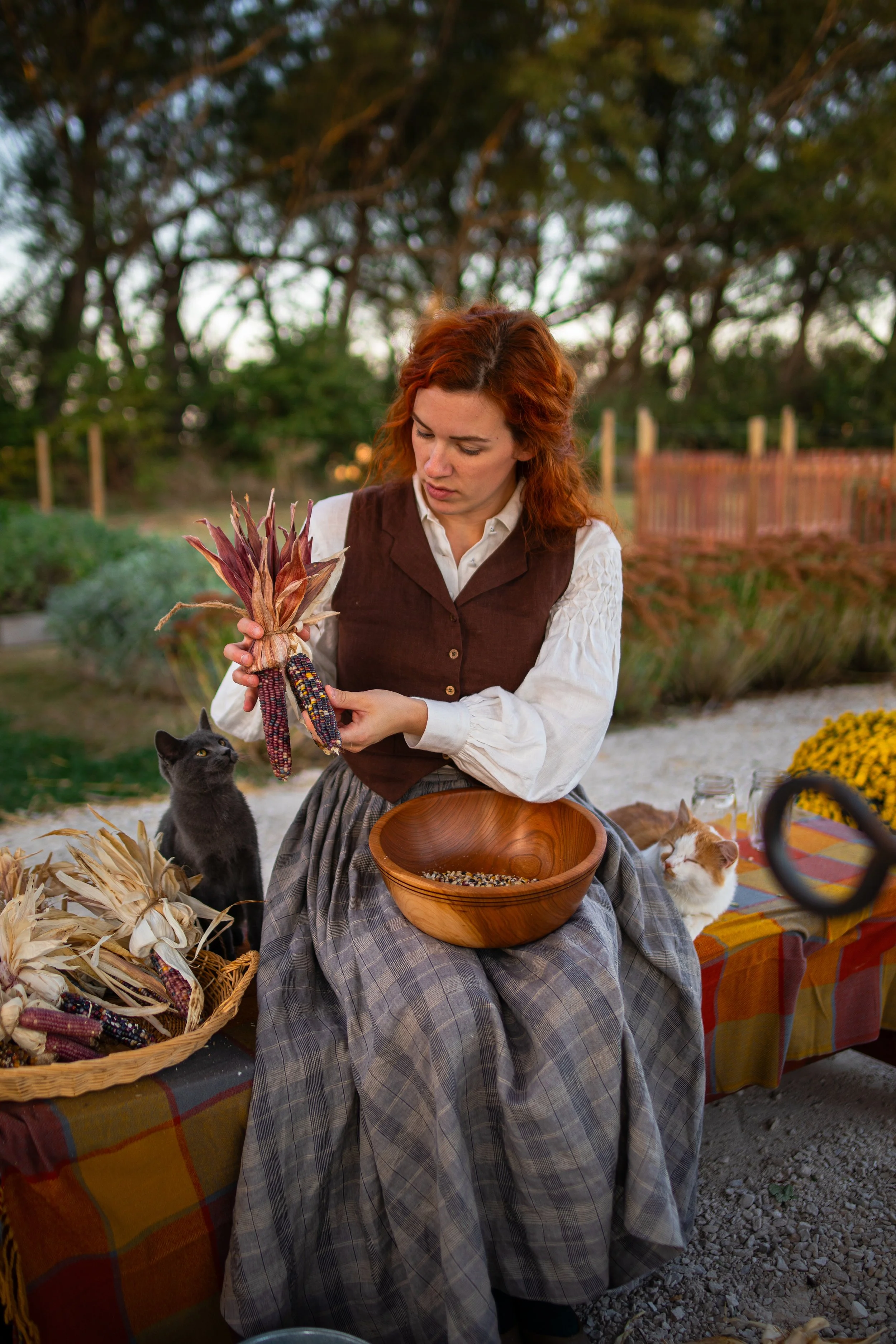 How to Grow, Harvest, and Dry Ornamental Corn for Your Kitchen: Learn ...