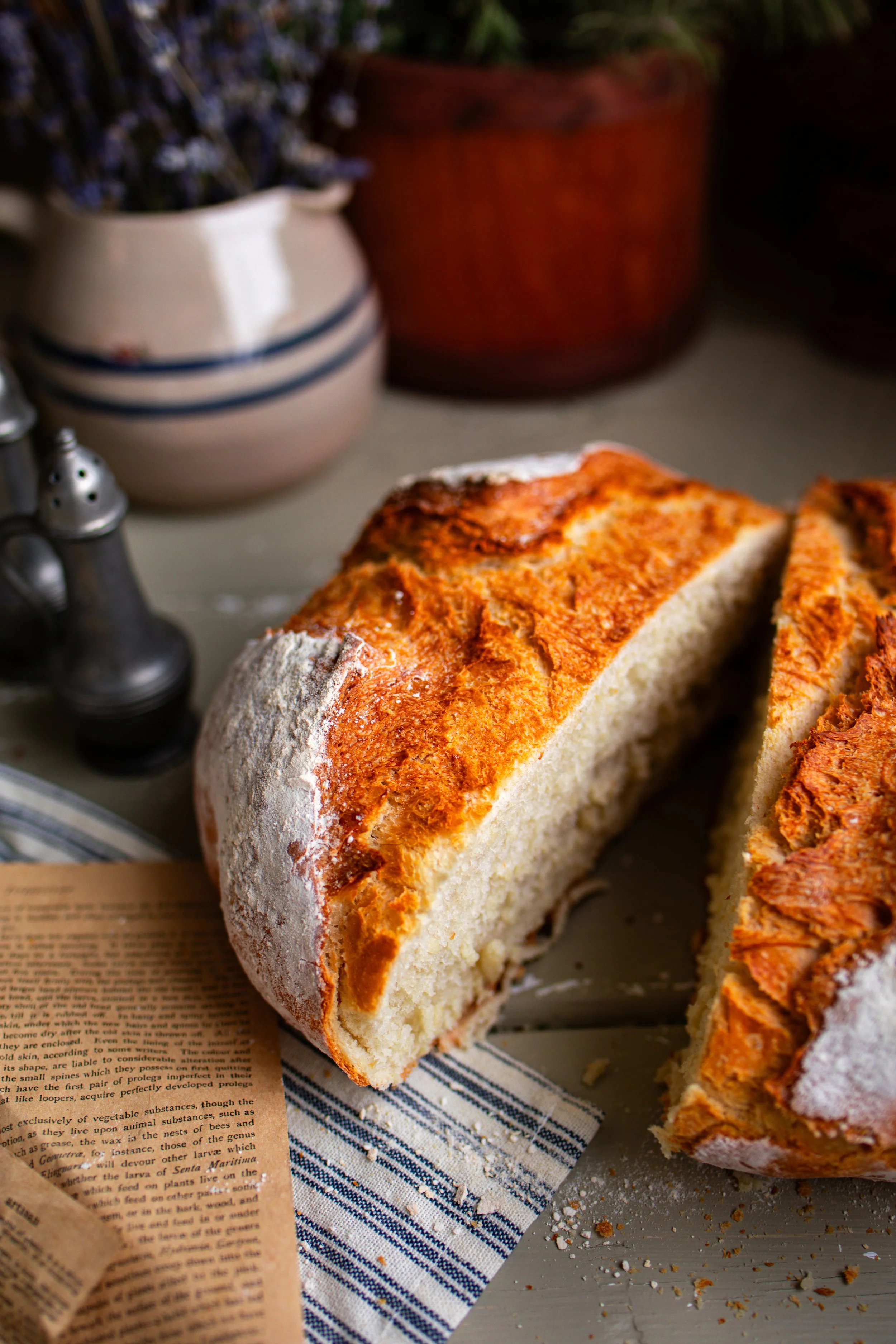 Crusty Dutch Oven Spelt Bread: Easy No Knead Artisanal Bread — Under A ...