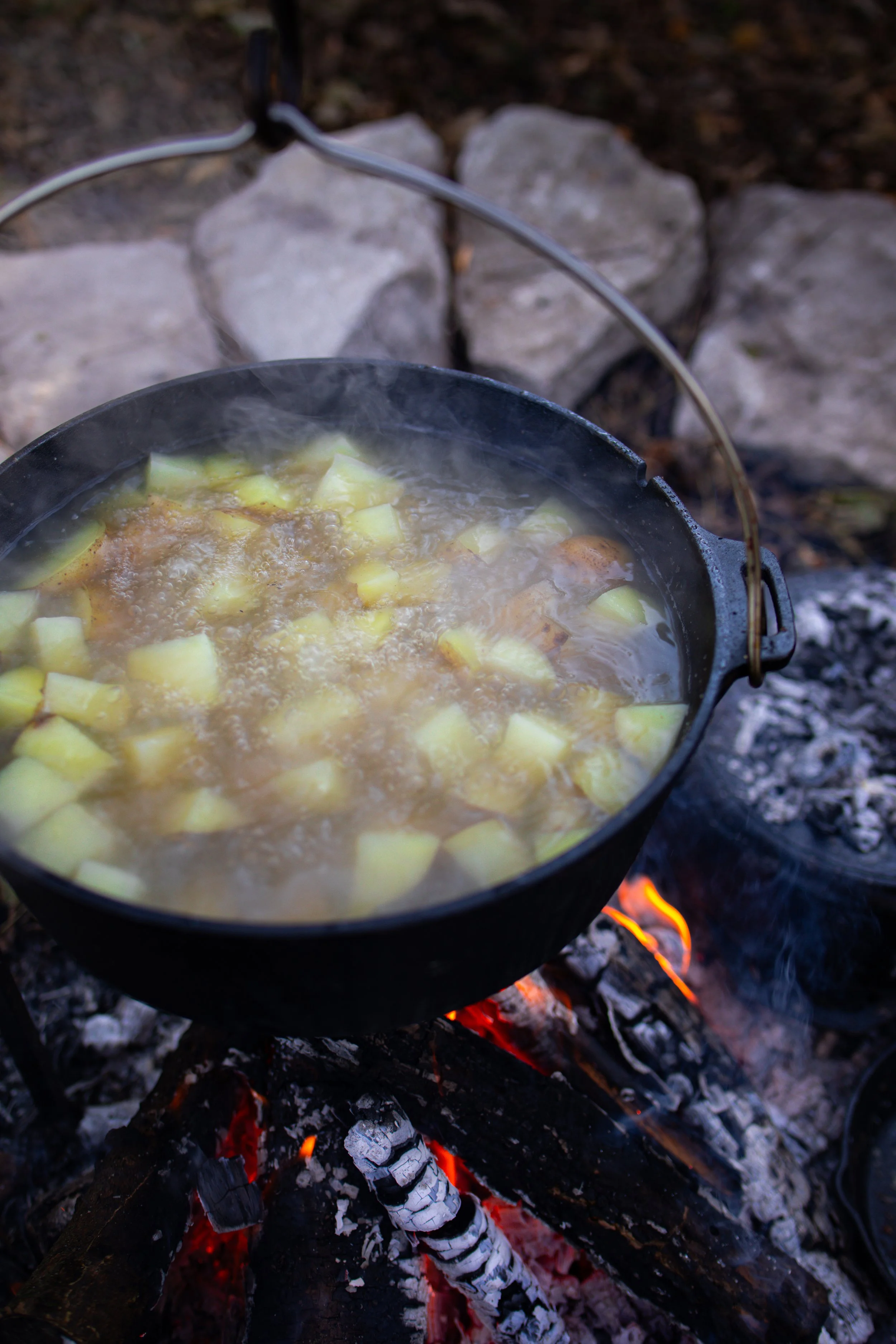 Campfire Cooking: Rotisserie Chicken and Mashed Potatoes | Outdoor ...