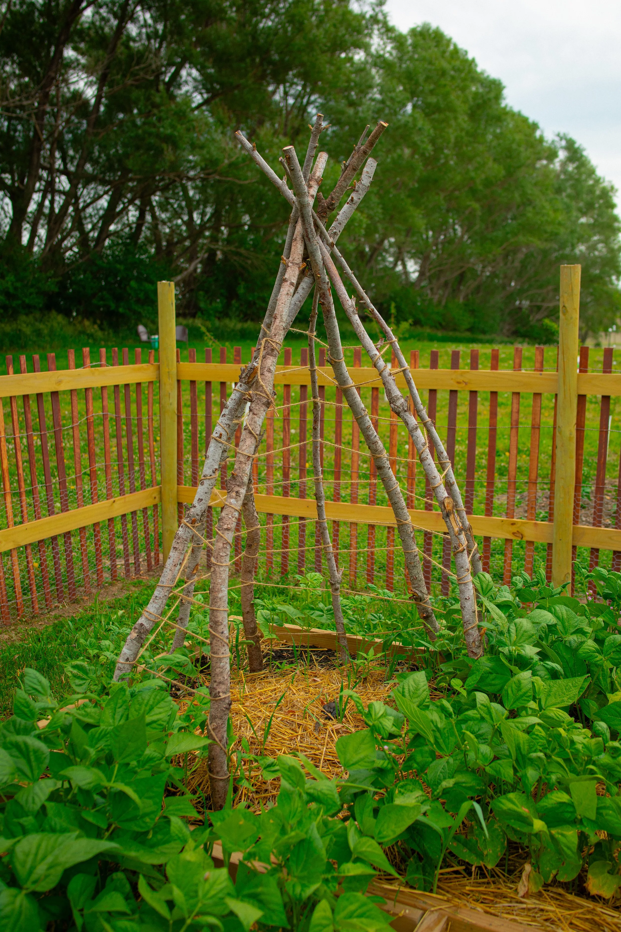 Rustic Trellis Ideas: How to Add Whimsy to Your Garden — Under A Tin Roof
