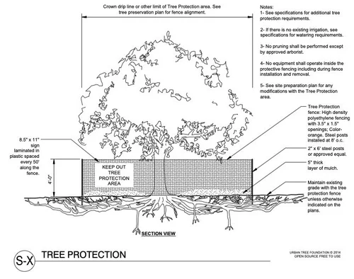 Rooted in Responsibility: The Imperative of a Tree Protection Plan ...