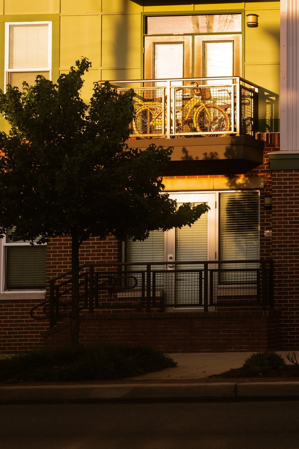 The Importance of 'Right Tree, Right Place' — Chris Welch's ...