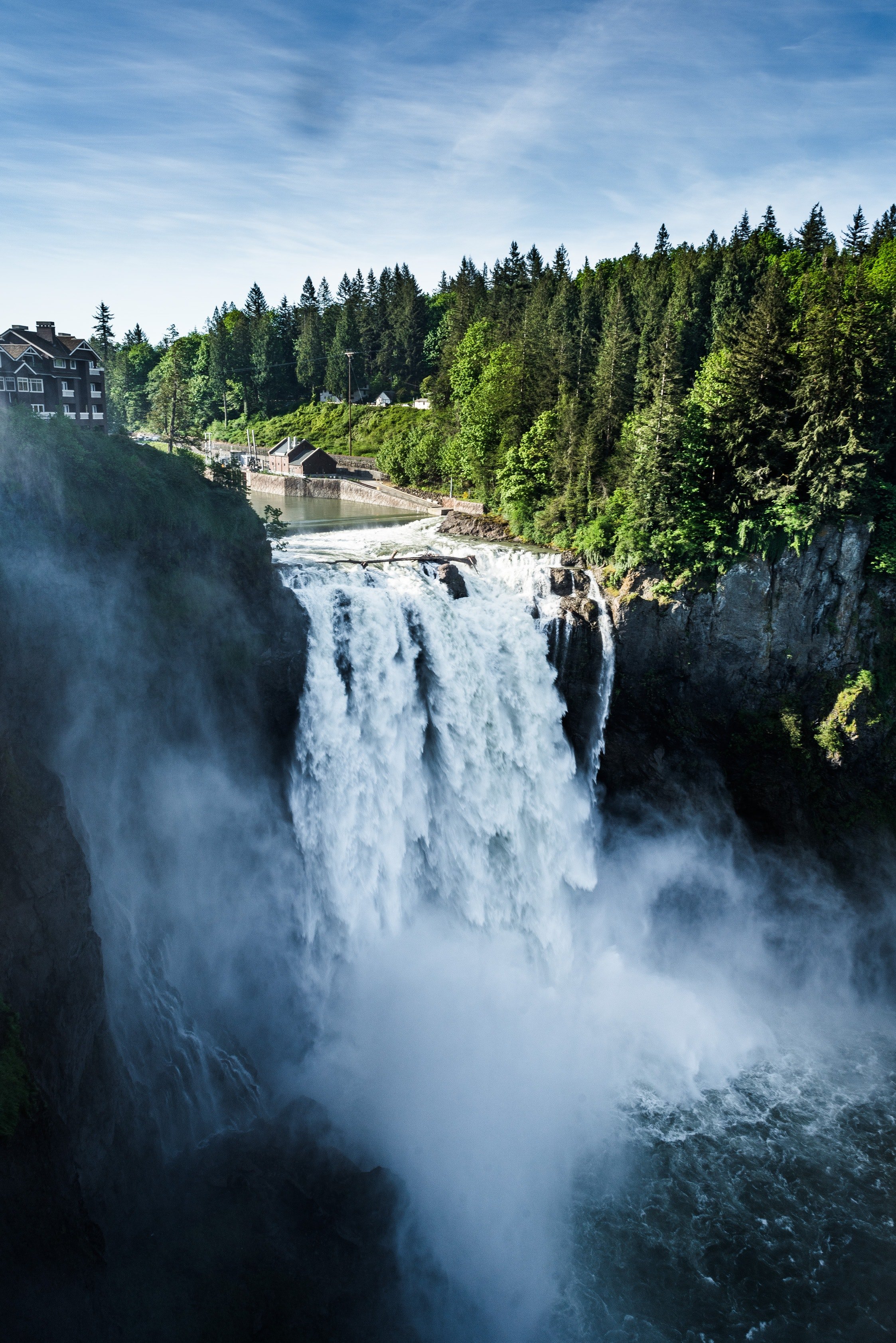 Puget Sound Native Plant Guide | Discover Native Plants Today — Chris ...