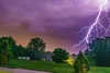 The Potential Impacts of Lightning on Unprotected Trees — Chris Welch's ...
