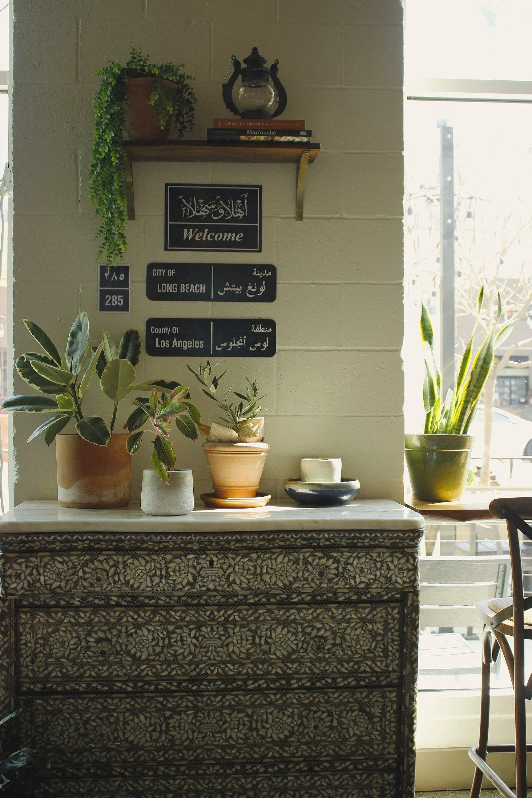 About | AMMATOLI | Long Beach — AMMATOLI