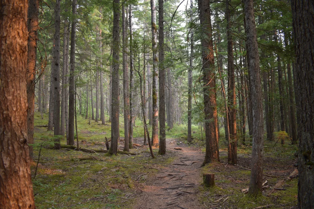 Projects — BERRi Lab