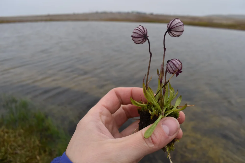 Projects — BERRi Lab