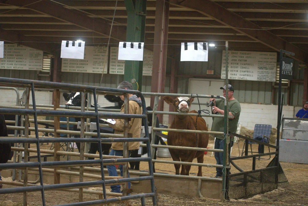 Sale Results — Classic Farms