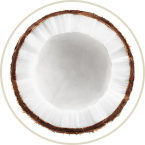 Ingredients - Pure Fiji