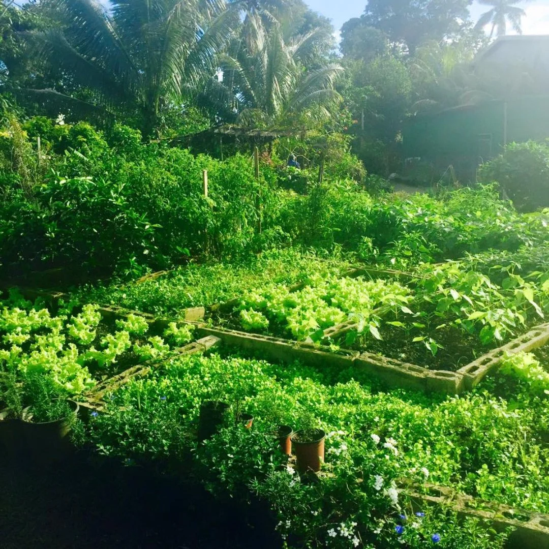 Sustainability - Pure Fiji