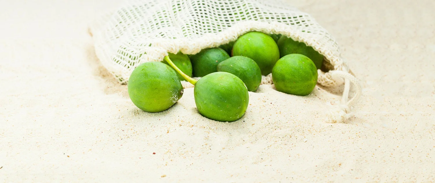 Ingredients - Pure Fiji