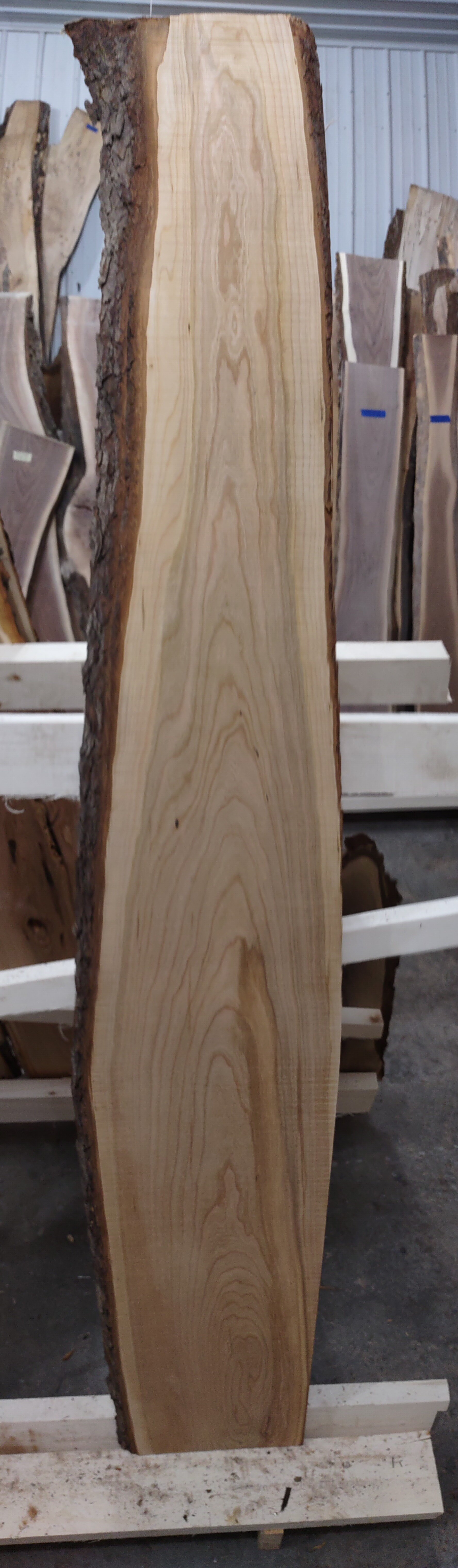 Shop — Gopher Glory Woodworks LLC
