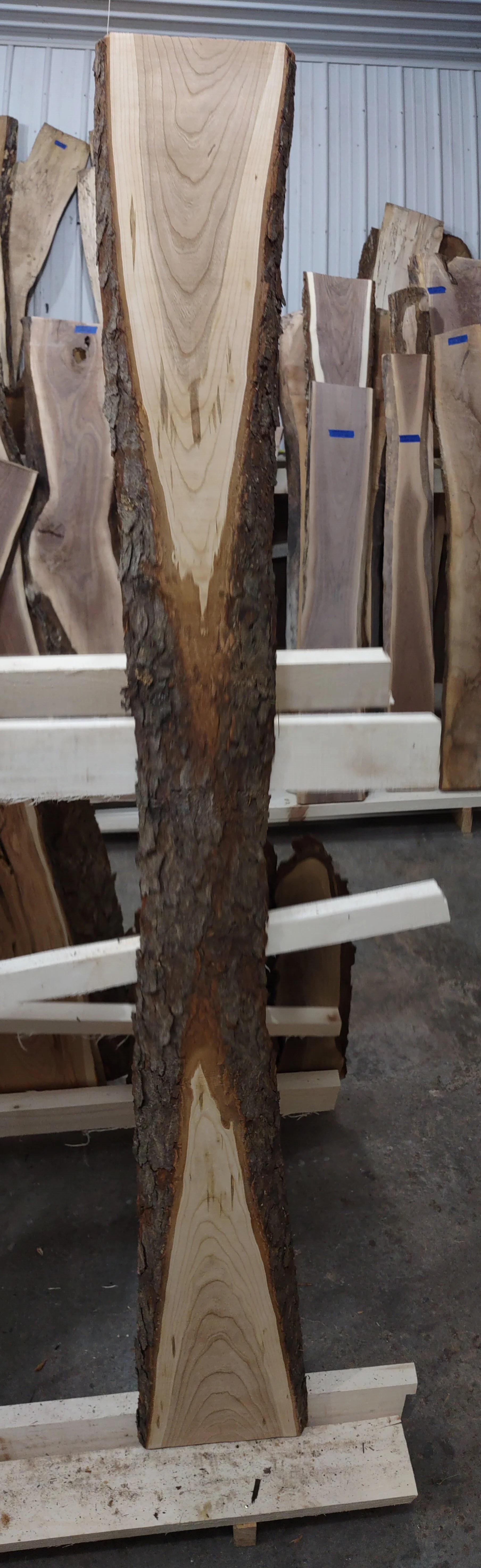 Shop — Gopher Glory Woodworks LLC
