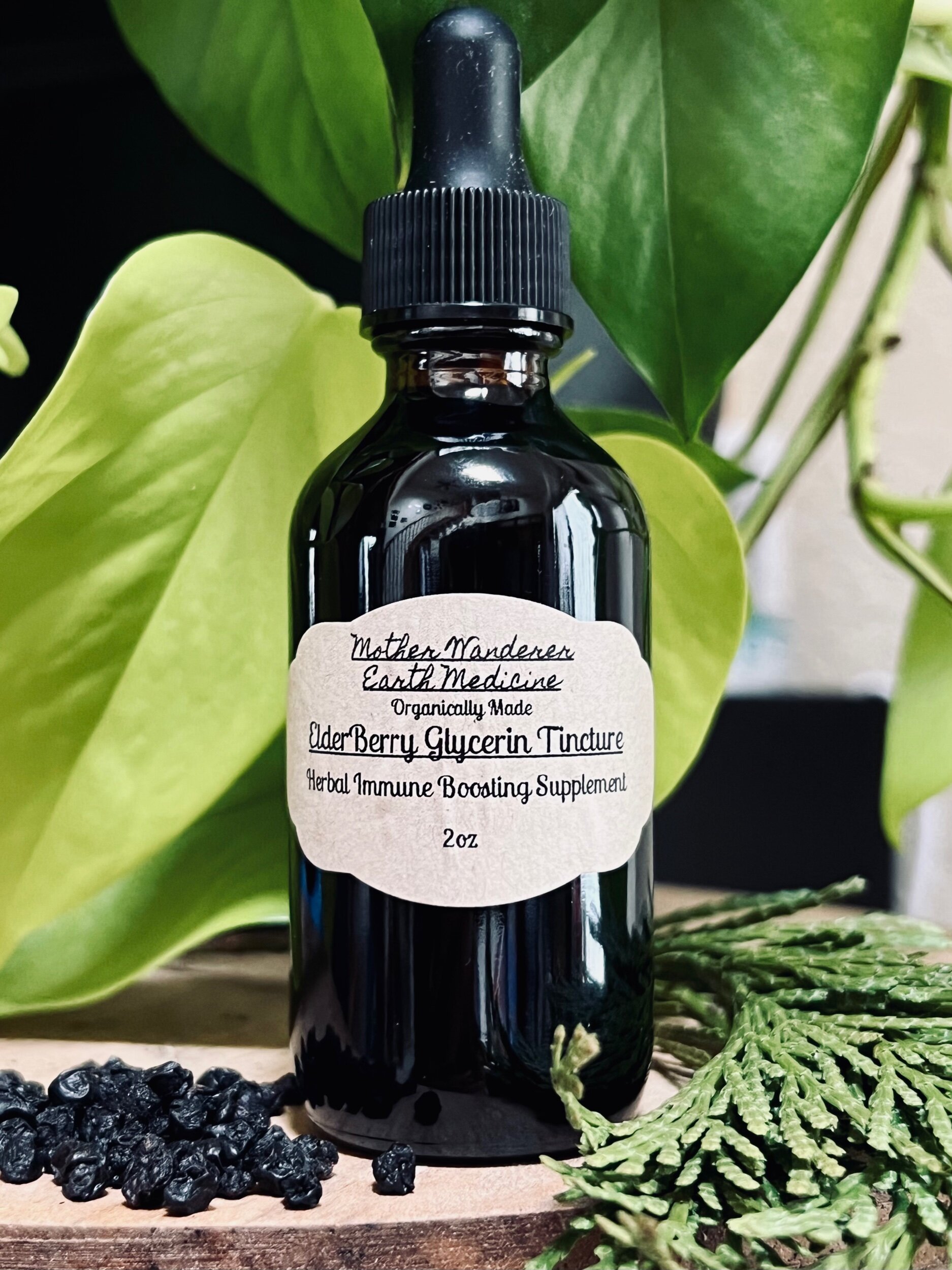 Mother Wanderer Earth Medicine