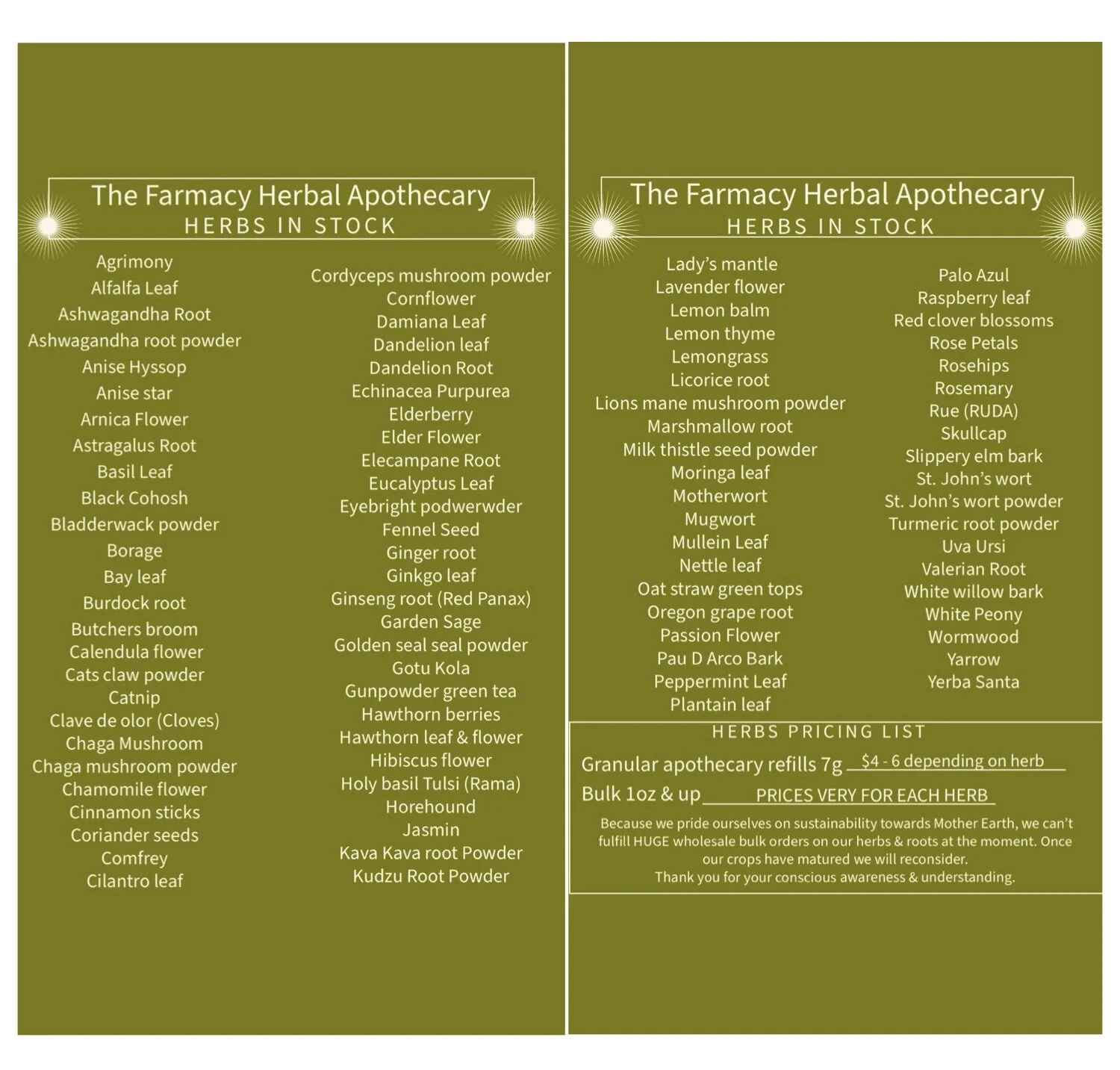 Mother Wanderer Earth Medicine