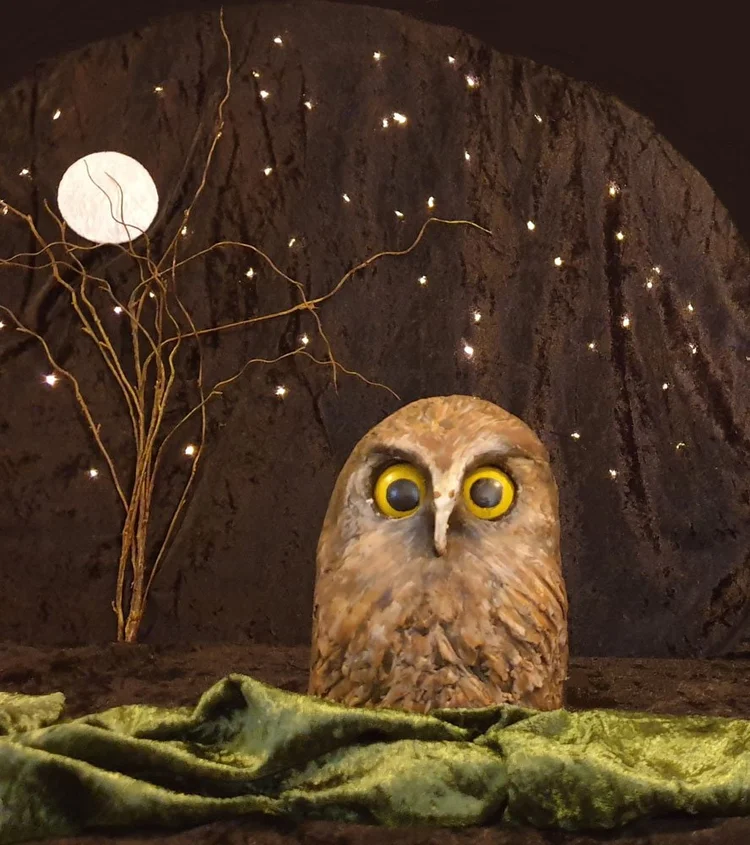 Box of Birds — Birdlife Productions theatre for children