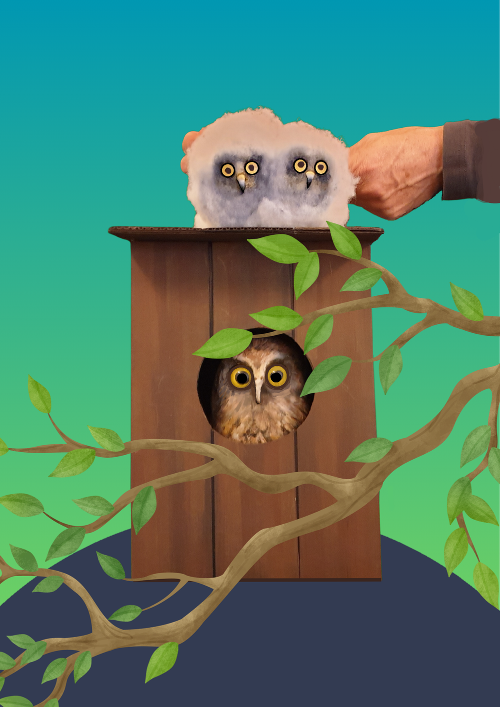 Box of Birds Teachers — Birdlife Productions theatre for children