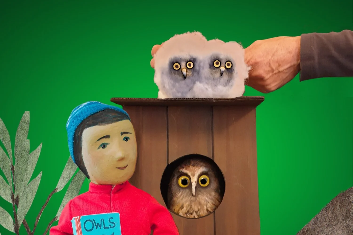 Box of Birds — Birdlife Productions theatre for children