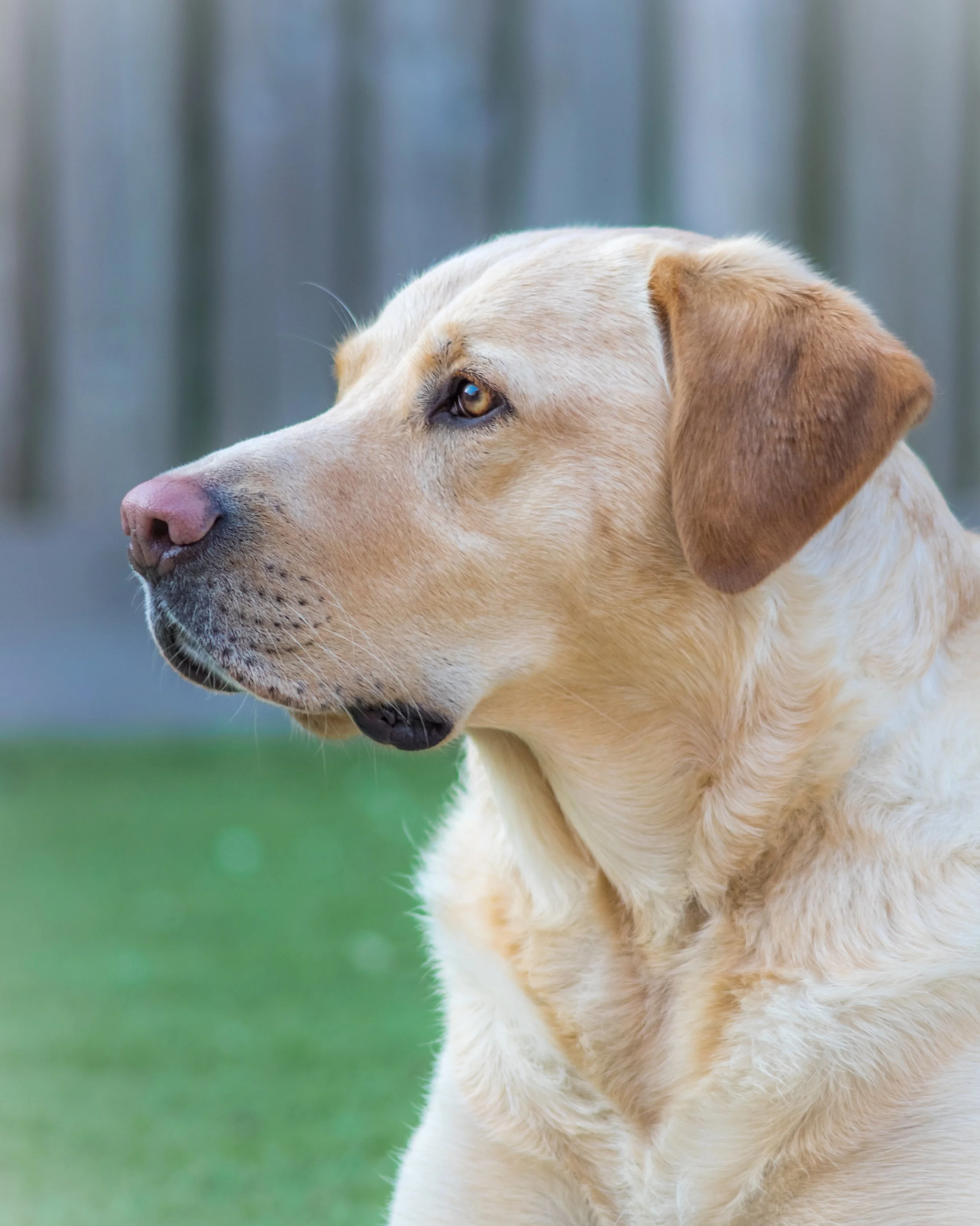 Jason Selby Photography