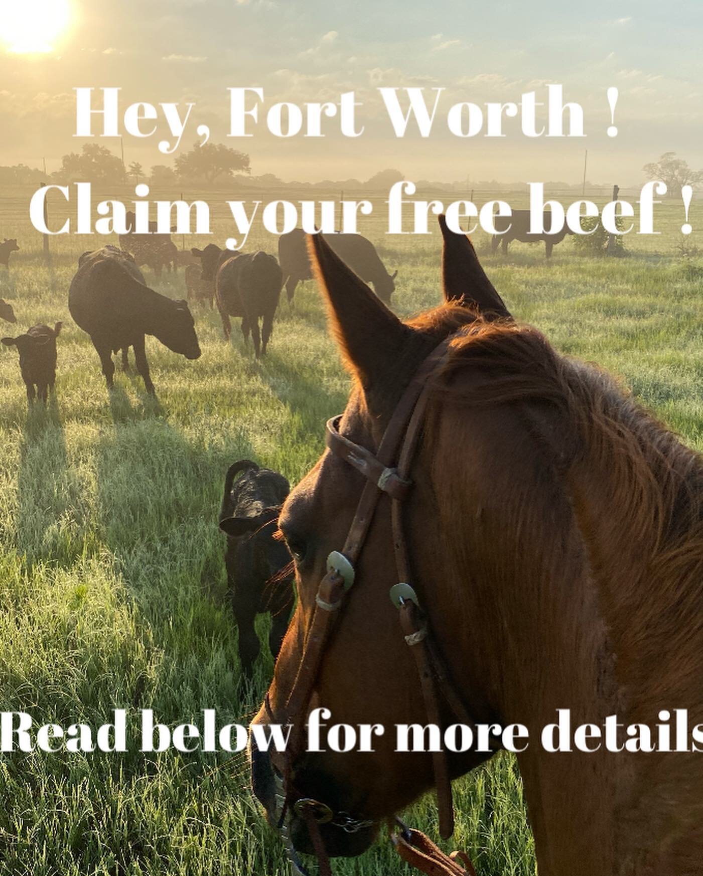 Native Beef | 100% Grass Fed Beef | Mineral Wells, TX