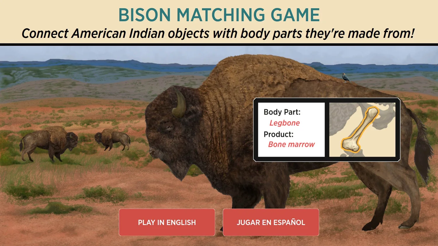 Bison interactive game — Diana Marques