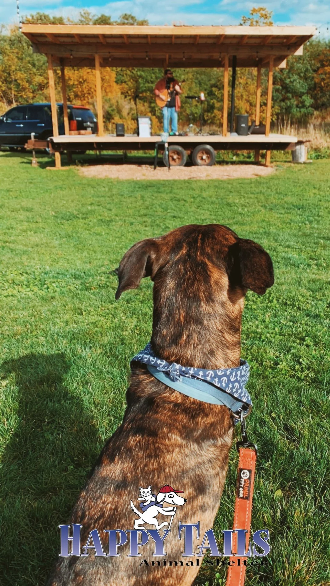 Ontario County Humane Society, Happy Tails Animal Shelter
