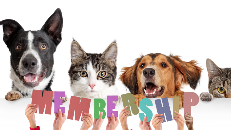 Become a Member — Ontario County Humane Society, Happy Tails Animal Shelter